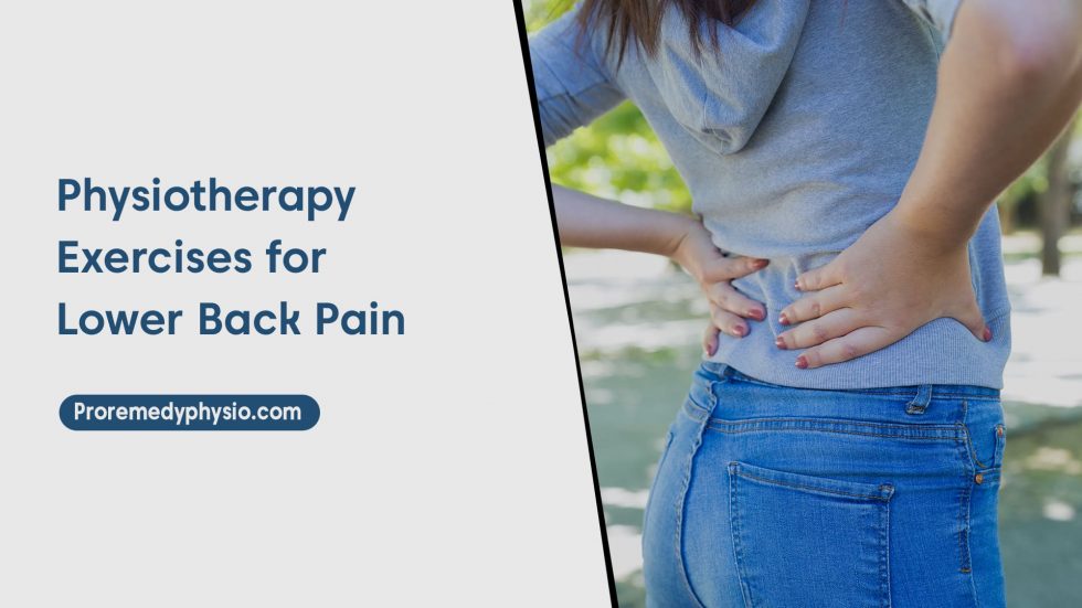 Best Physiotherapy Exercises for Lower Back Pain - Proremedy Physio